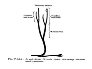 Telome theroy | PPTX