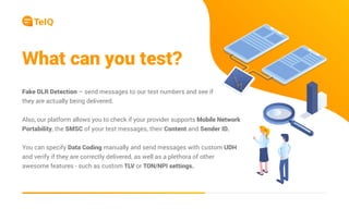 TelQ SMS Testing Platform | PDF