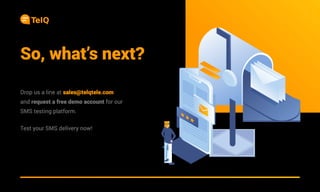 TelQ SMS Testing Platform | PDF