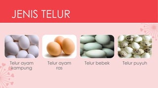 Telur | PDF