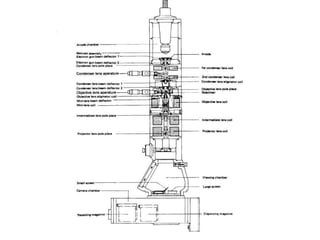 Transmission and electron microscope Tem ppt | PPT