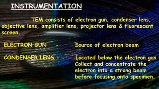 Transmission electron microscope | PPTX