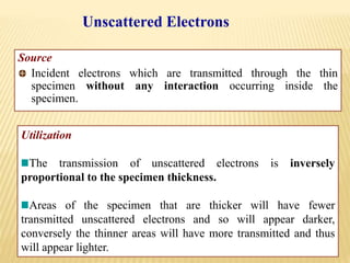 Transmission Electron Microscopy | PPTX | Chemistry | Science