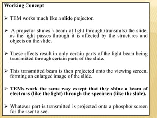 Transmission Electron Microscopy | PPTX | Chemistry | Science