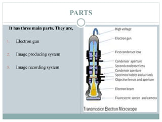 transmission Electron Microscopy (Tem) | PPTX