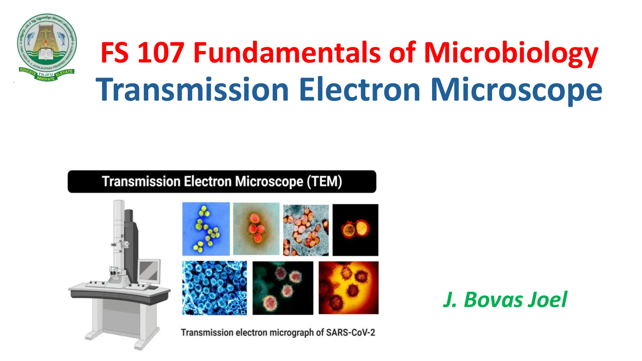 Transmission electron microscopy(TEM) .pdf