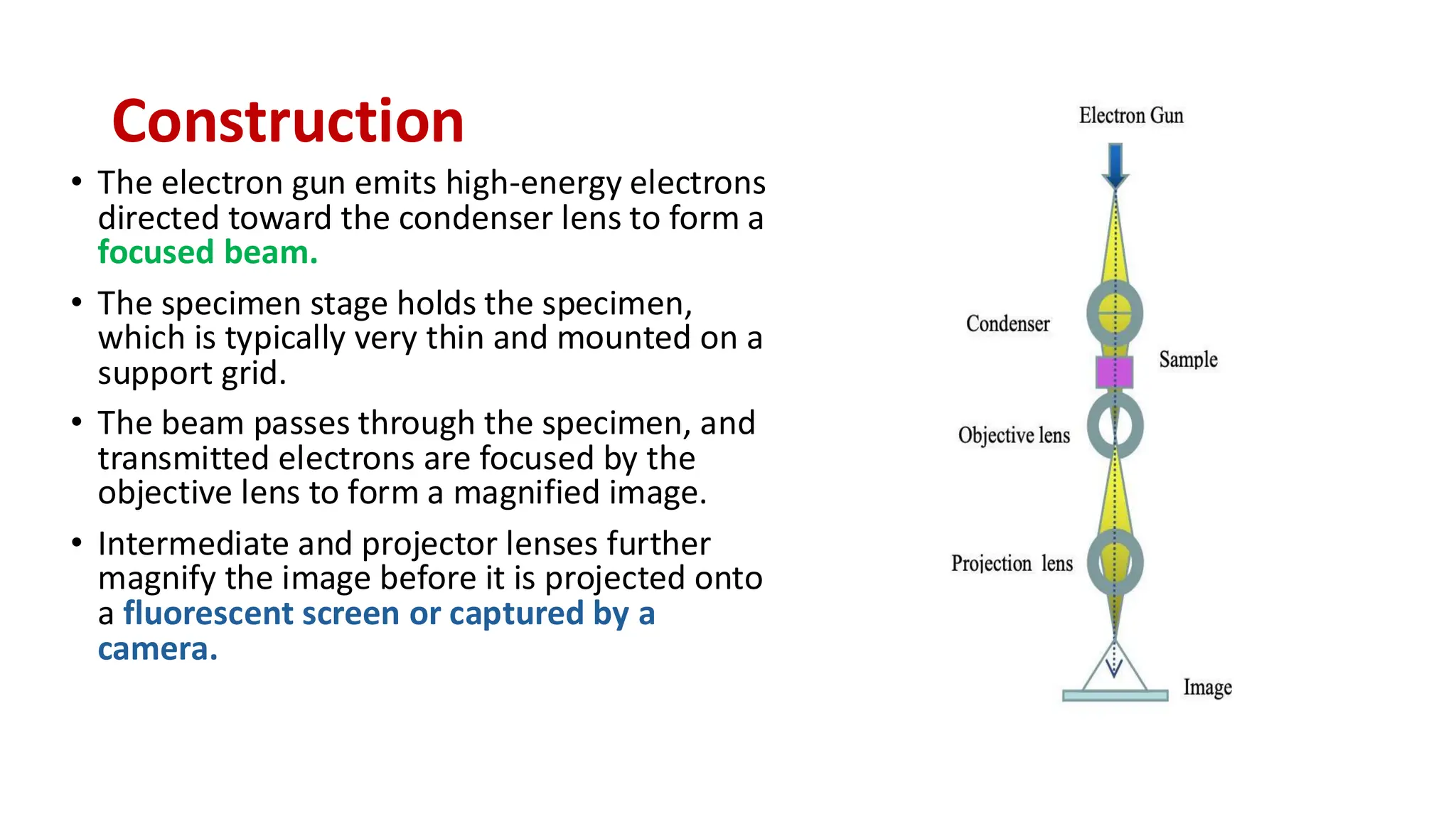 Transmission electron microscopy(TEM) .pdf