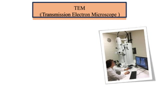 Transmission Electron Microscope (TEM)... | PPT