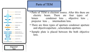 Transmission Electron Microscope (TEM)... | PPT