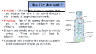 Transmission Electron Microscope (TEM)... | PPT