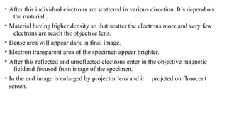 Transmission Electron Microscope (TEM)... | PPT
