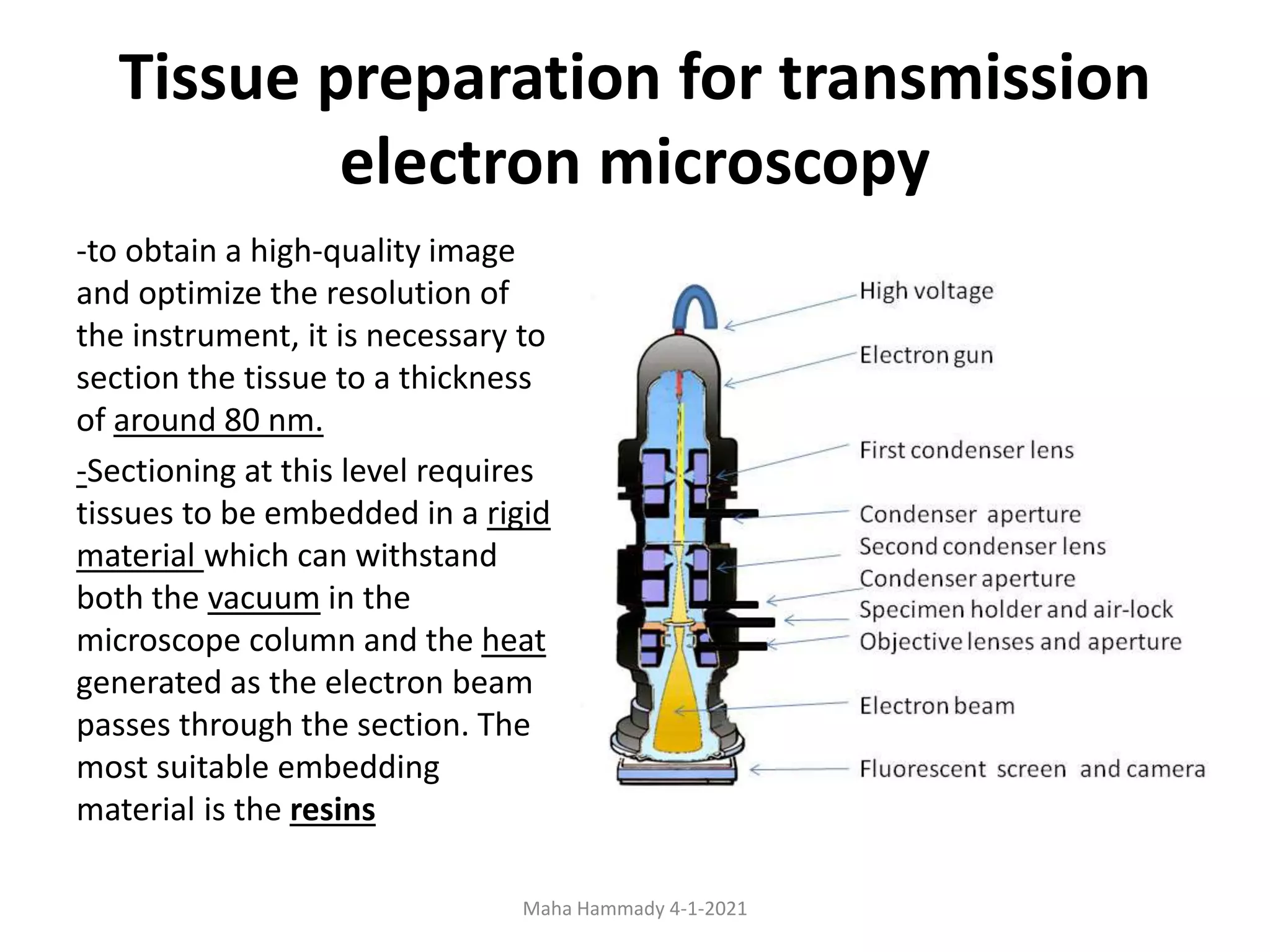 Transmission Electron Microscopy | PPT