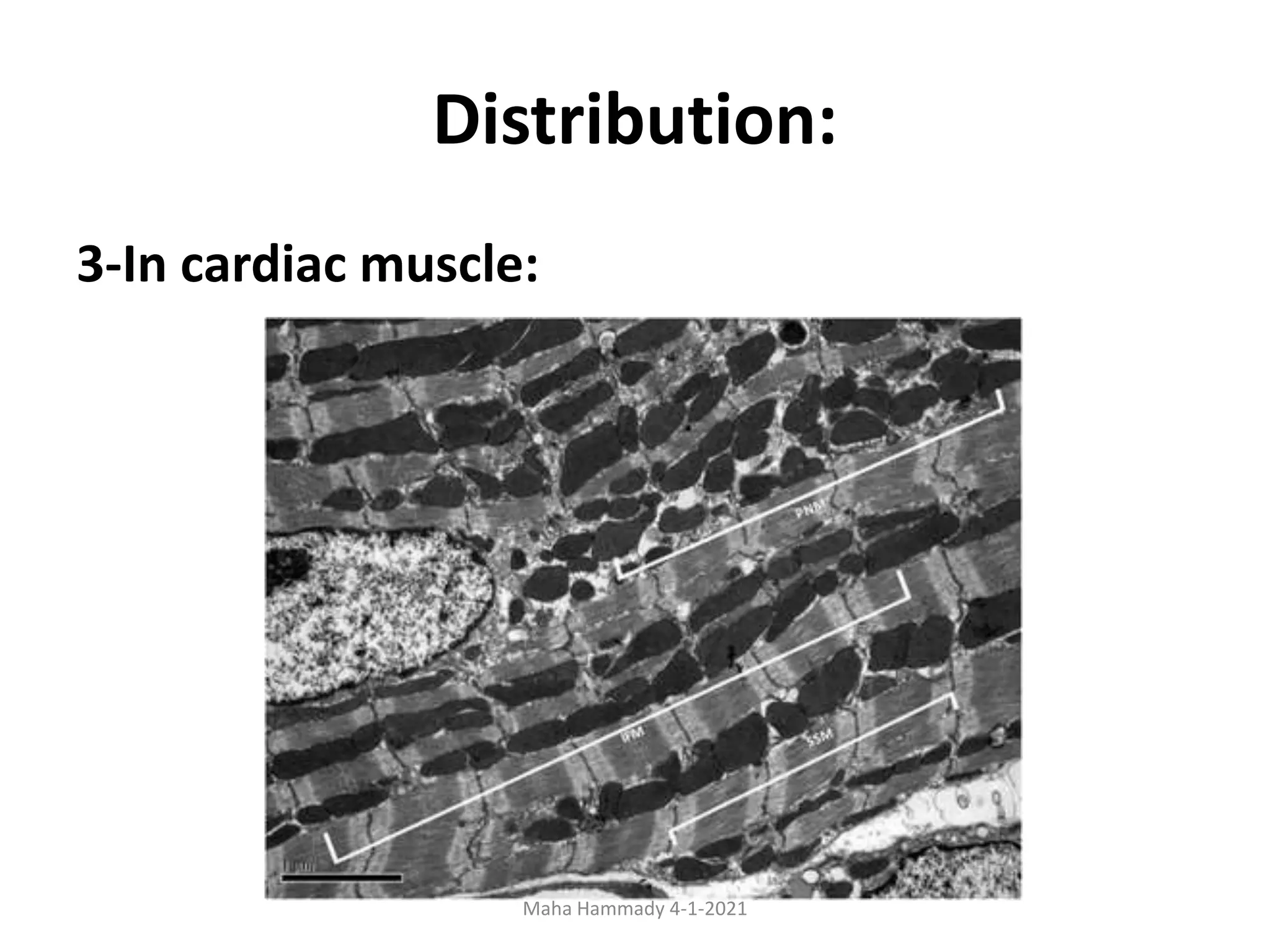 Transmission Electron Microscopy | PPT