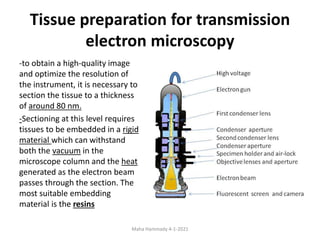 Electron Microscopes Labeled