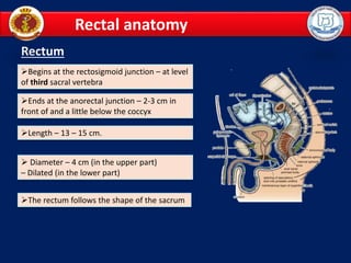 Trans-anal Endoscopic Microsurgery TEM | PPTX