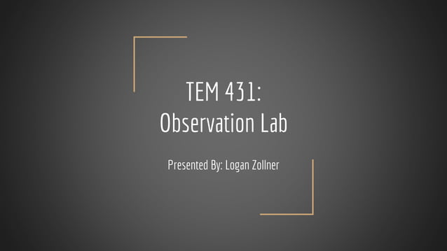 TEM 431_ Observation Lab.pptx