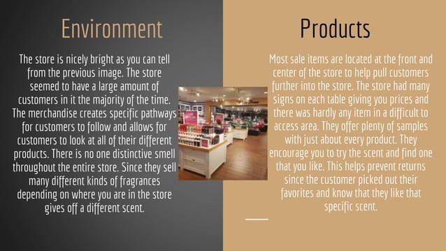 TEM 431_ Observation Lab.pptx