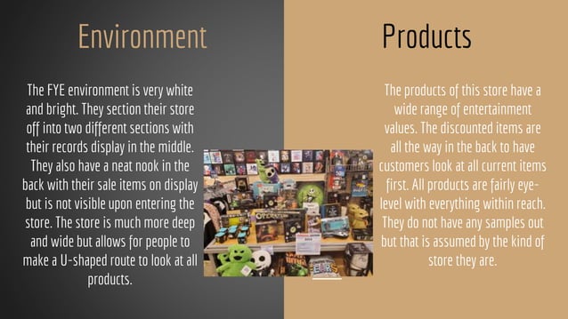 TEM 431_ Observation Lab.pptx