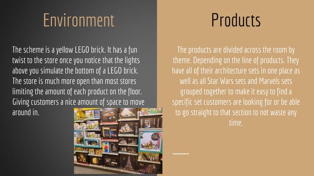 TEM 431_ Observation Lab.pptx