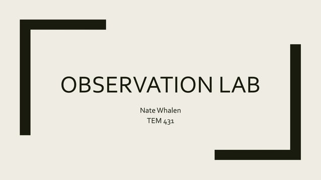 TEM 431 Observation Lab-Whalen | PPT