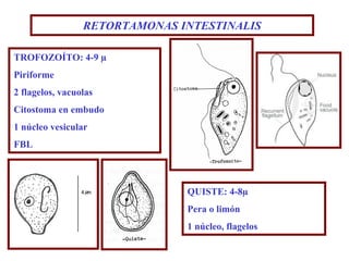 Tema 06 | PDF