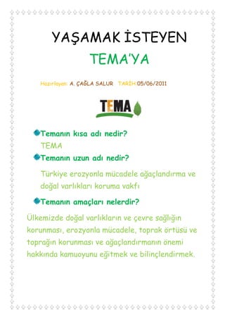 Tema | DOCX