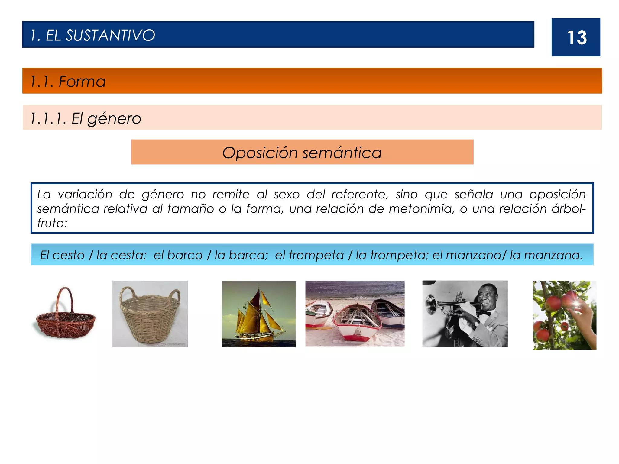 Tema 2. el sustantivo y el adjetivo | PPT