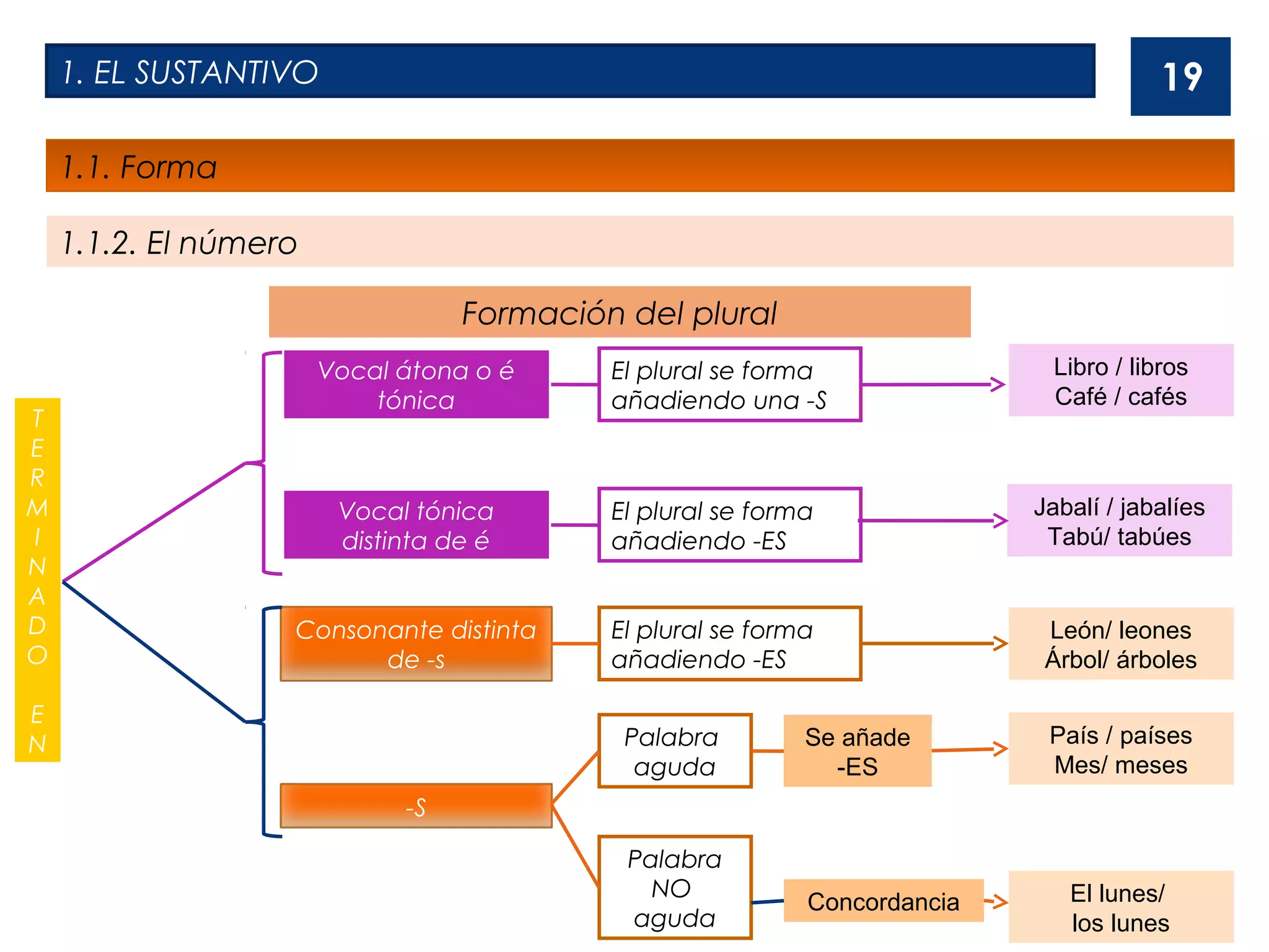 Tema 2. el sustantivo y el adjetivo | PPT