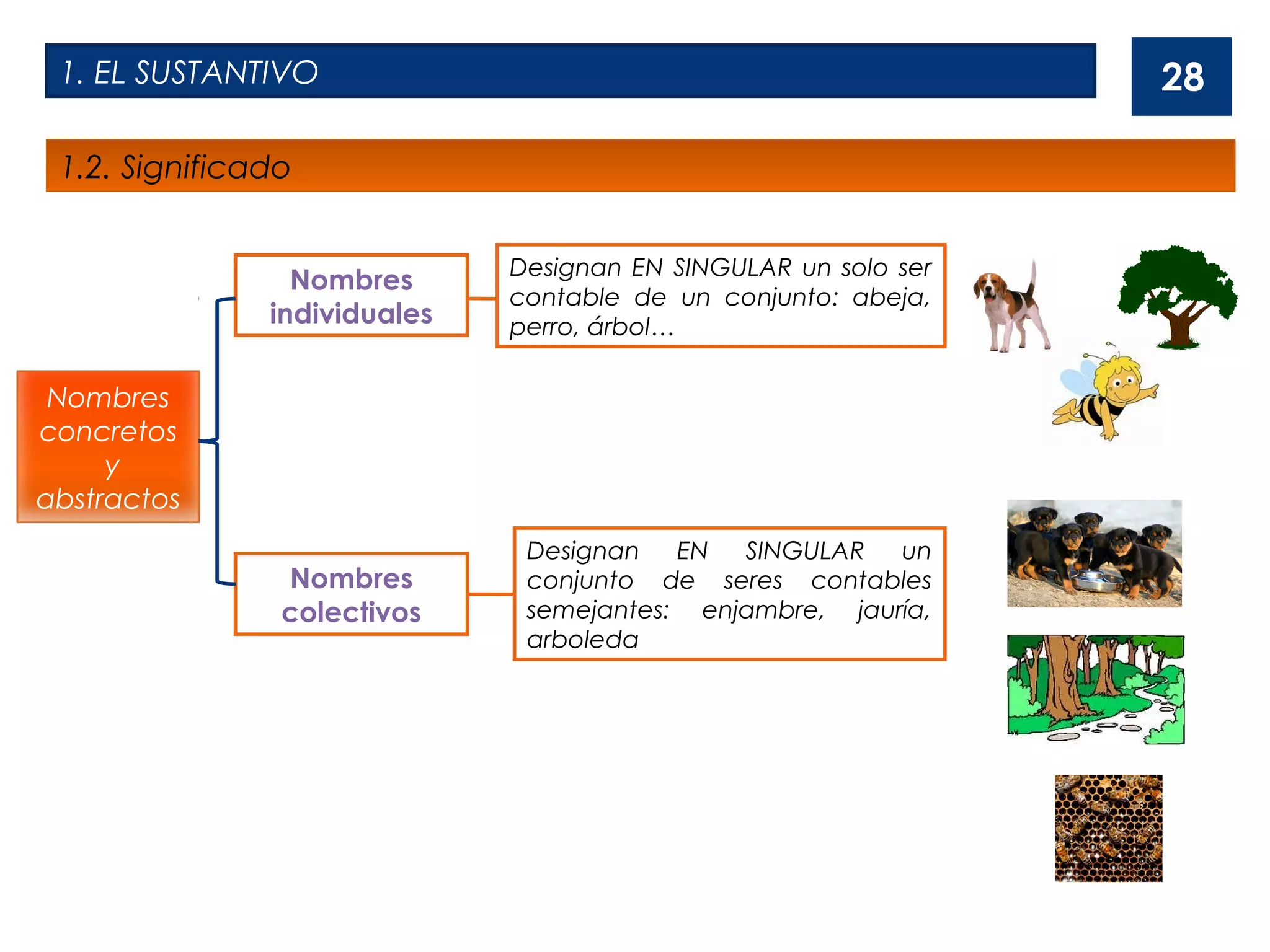 Tema 2. el sustantivo y el adjetivo | PPT