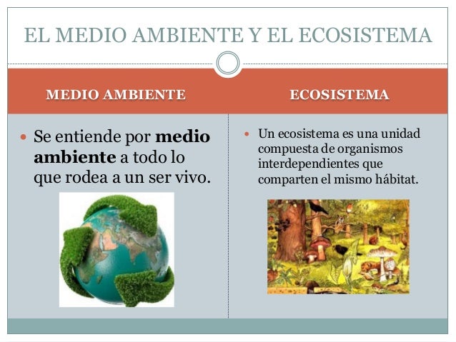 Tema 5 el medio ambiente y su relación con los (1)