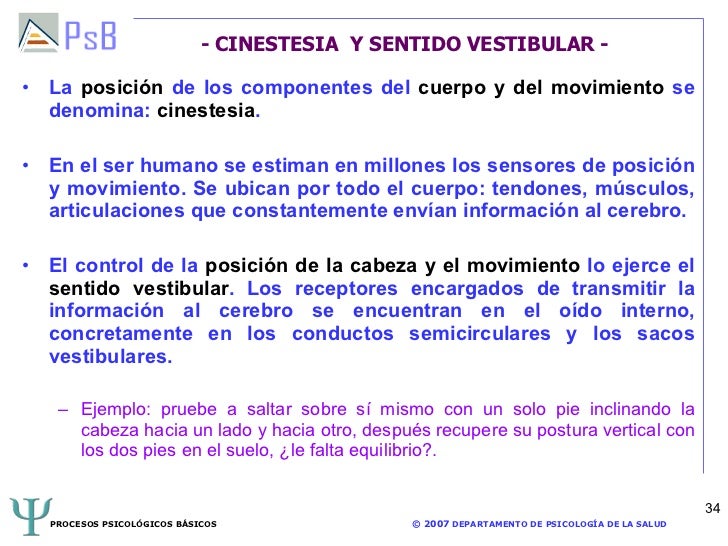Importancia de los sentidos vestibular y cinestésico en el Movimiento ...