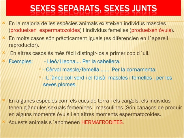 Tema 4 Rep Dels Animals | PPT