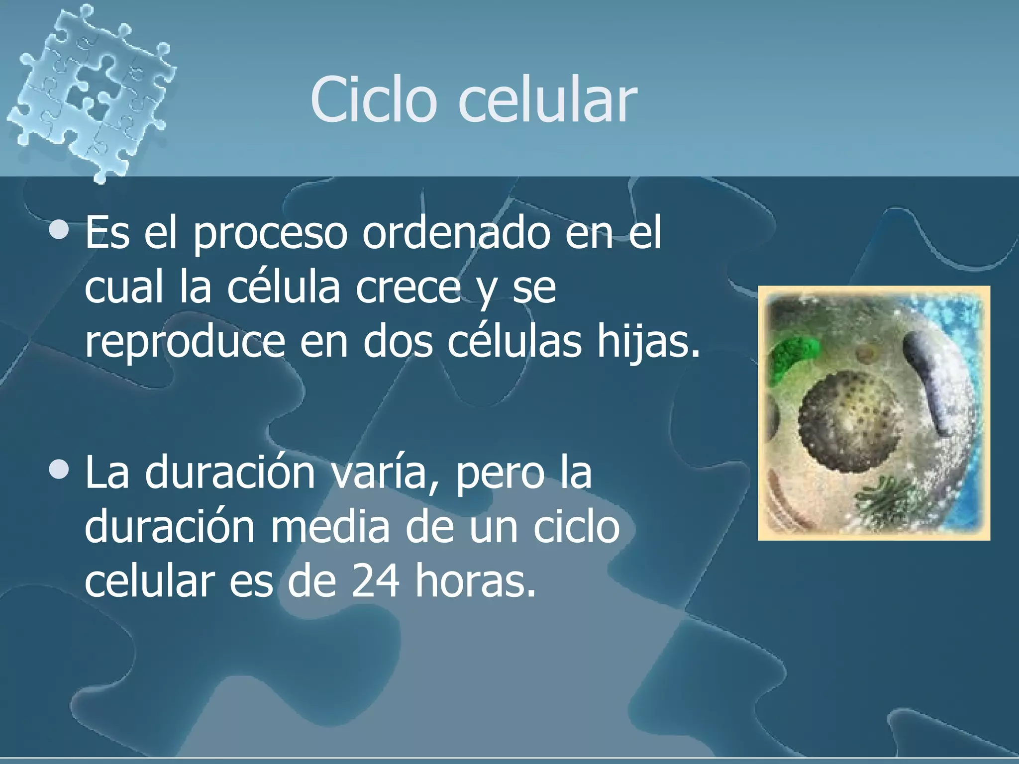 Tema 7. Ciclo Celular | PPT