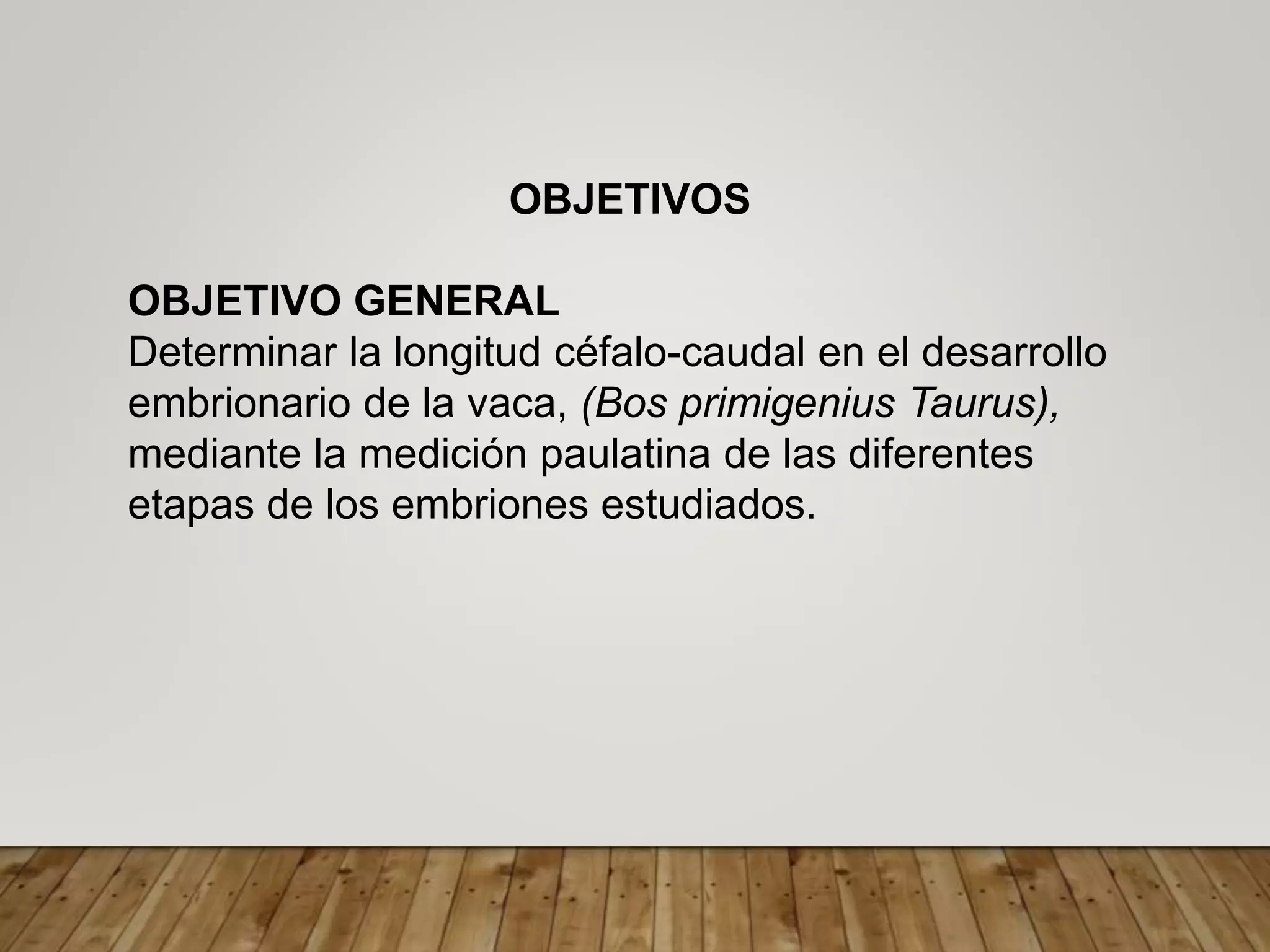 LONGITUD CÉFALO-CAUDAL EN EL DESARROLLO EMBRIONARIO DE LAS VACAS | PPT