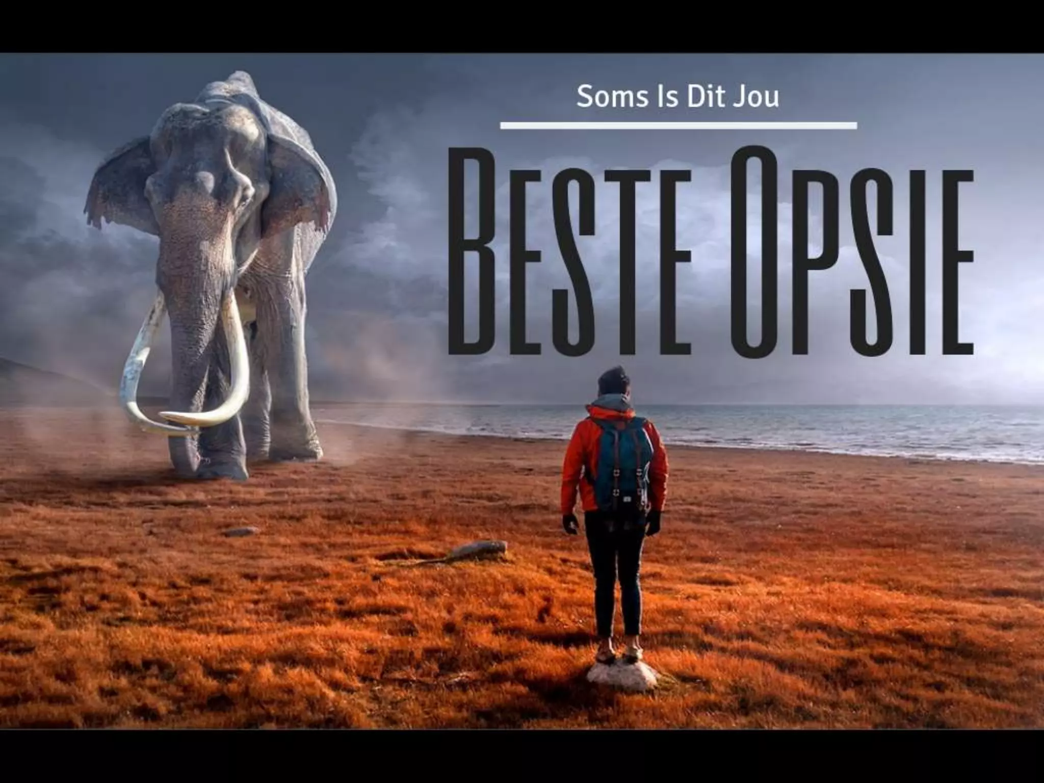 Tema: Soms is dit jou beste opsie... | PPT