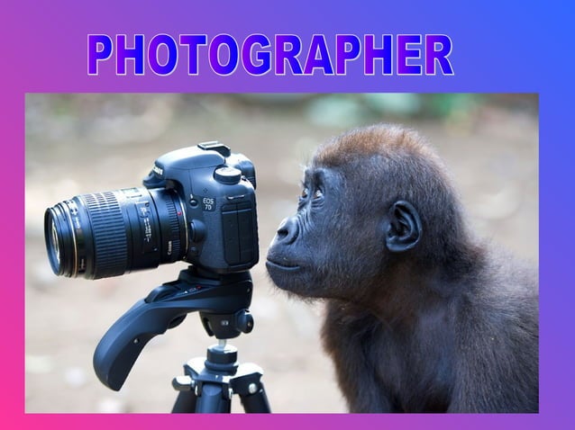 WELL DONE, EXPLORERS | PPT