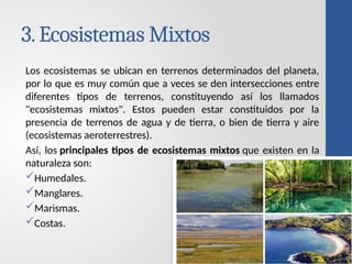 Tema 02 Ecosistemas Características Tipos Pptx