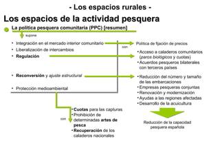 GEO 05 D. Los espacios de la actividad pesquera | PPT
