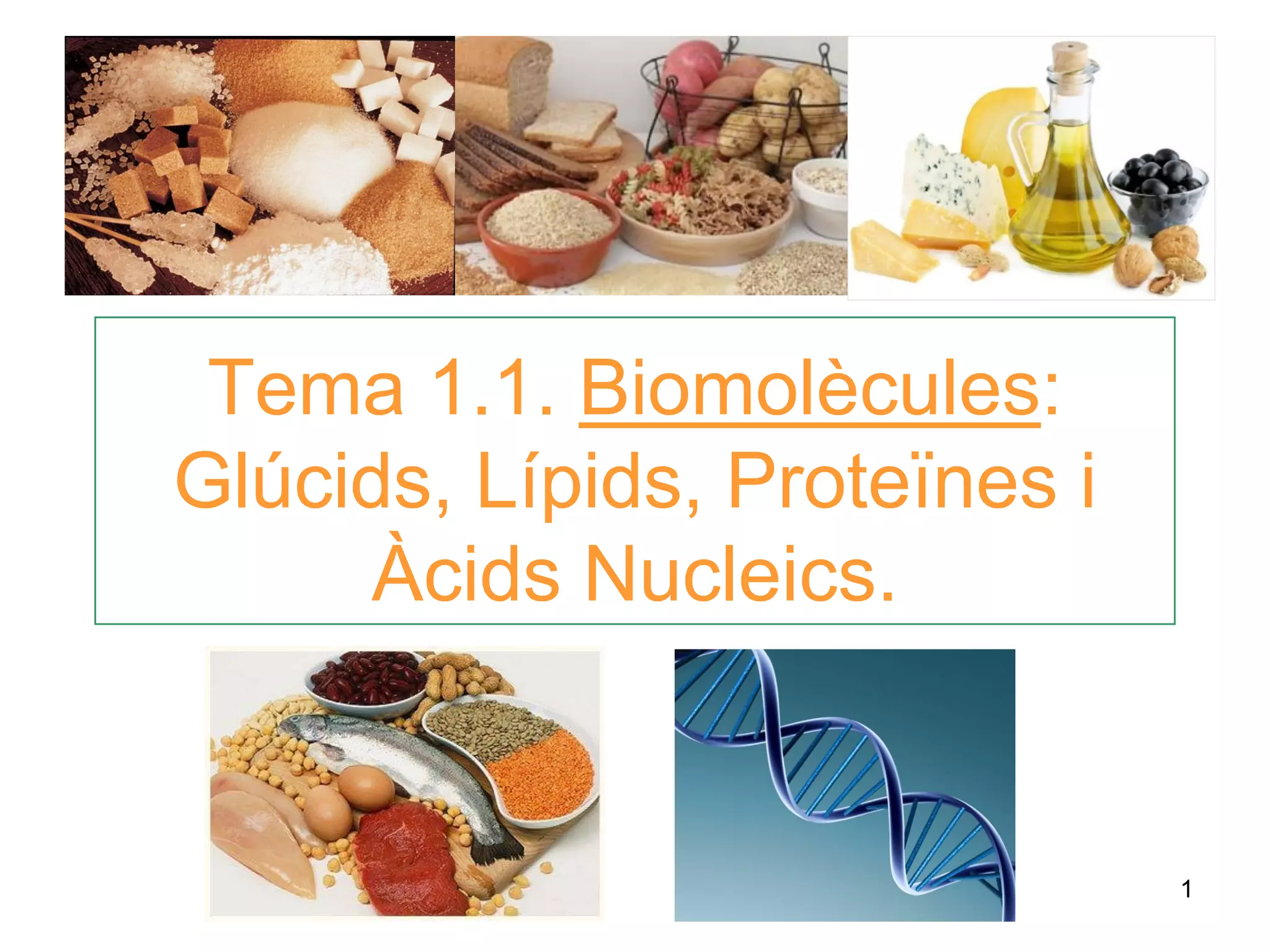 Tema1.1.biomolecules 2013 | PDF