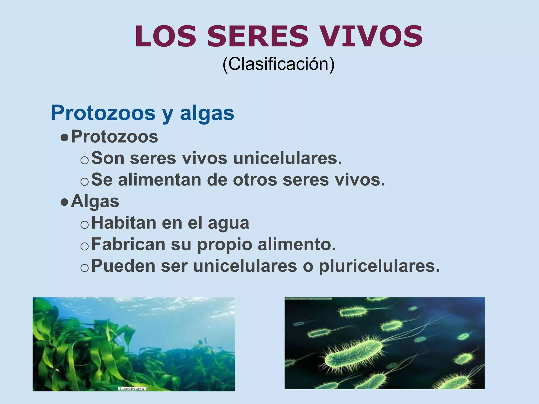 Tema 1. SERES VIVOS Y CÉLULA | PPTX | Biological Sciences | Science