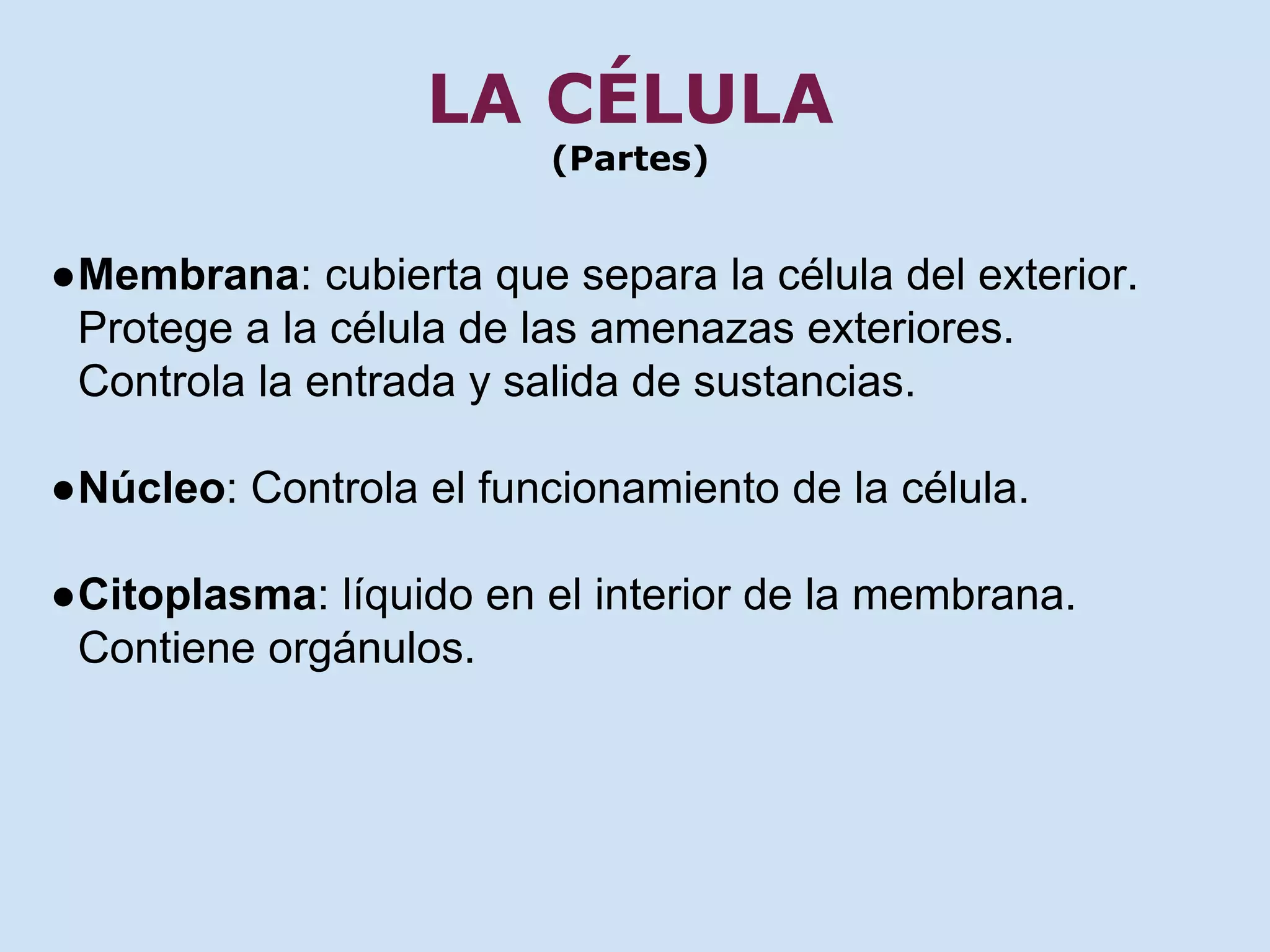 Tema 1. SERES VIVOS Y CÉLULA | PPTX | Biological Sciences | Science