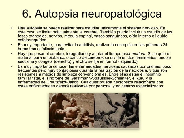 Tema 1. Necropsias. Realización del proceso de preparación de la ...