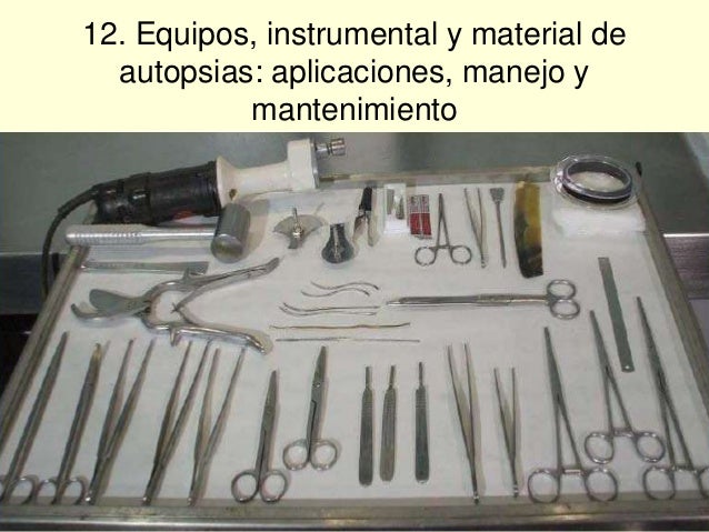 REGISTRO FOTOGRAFICO EN LOS PROCEDIMIENTOS DE NECROPSIA: MEDICINA FORENSE