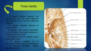 Tema 1 Huesos del Craneo UNEFEM | PPTX