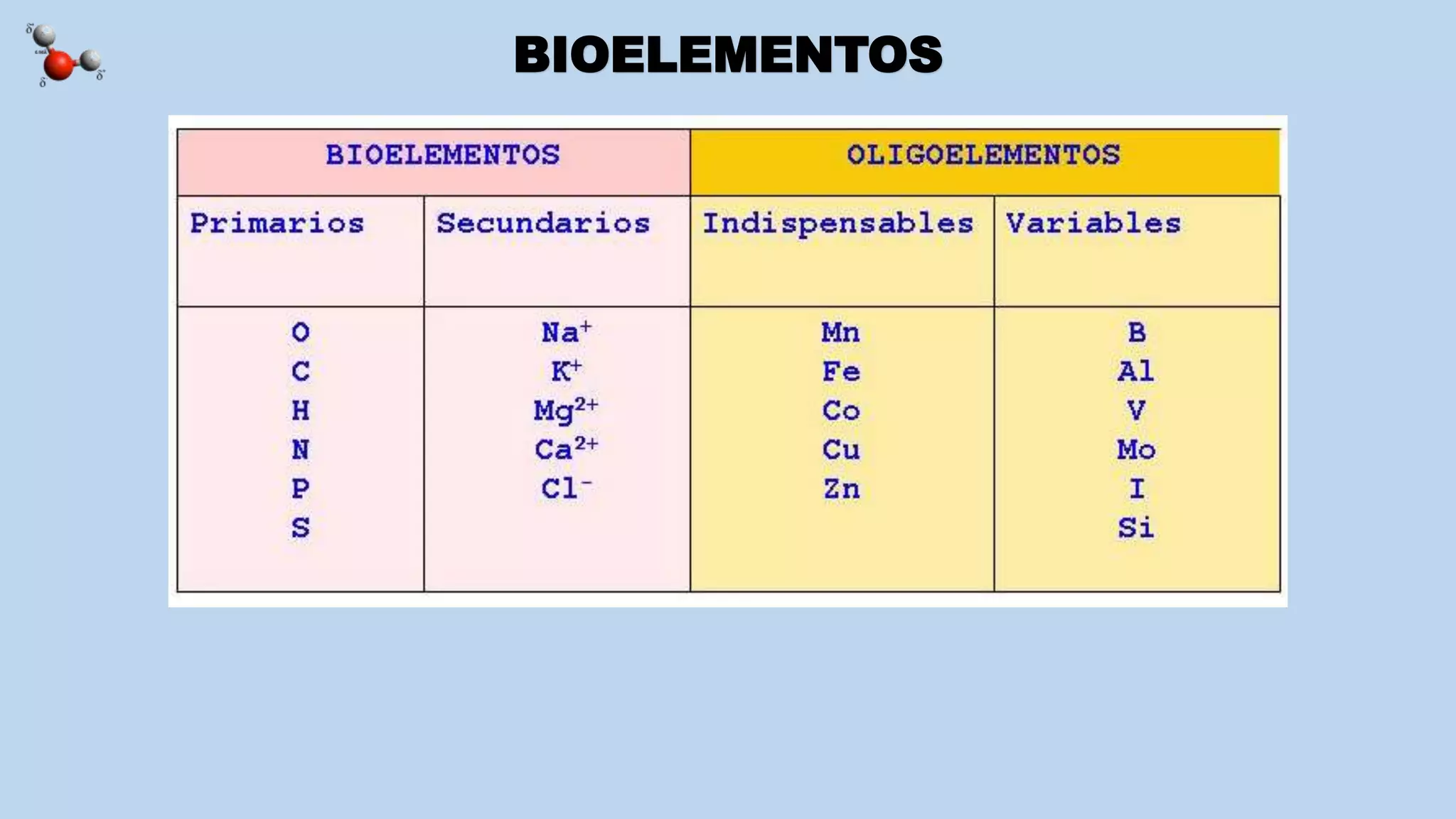 bioelementos y biomoleculas. agua y sales minerales | PPT