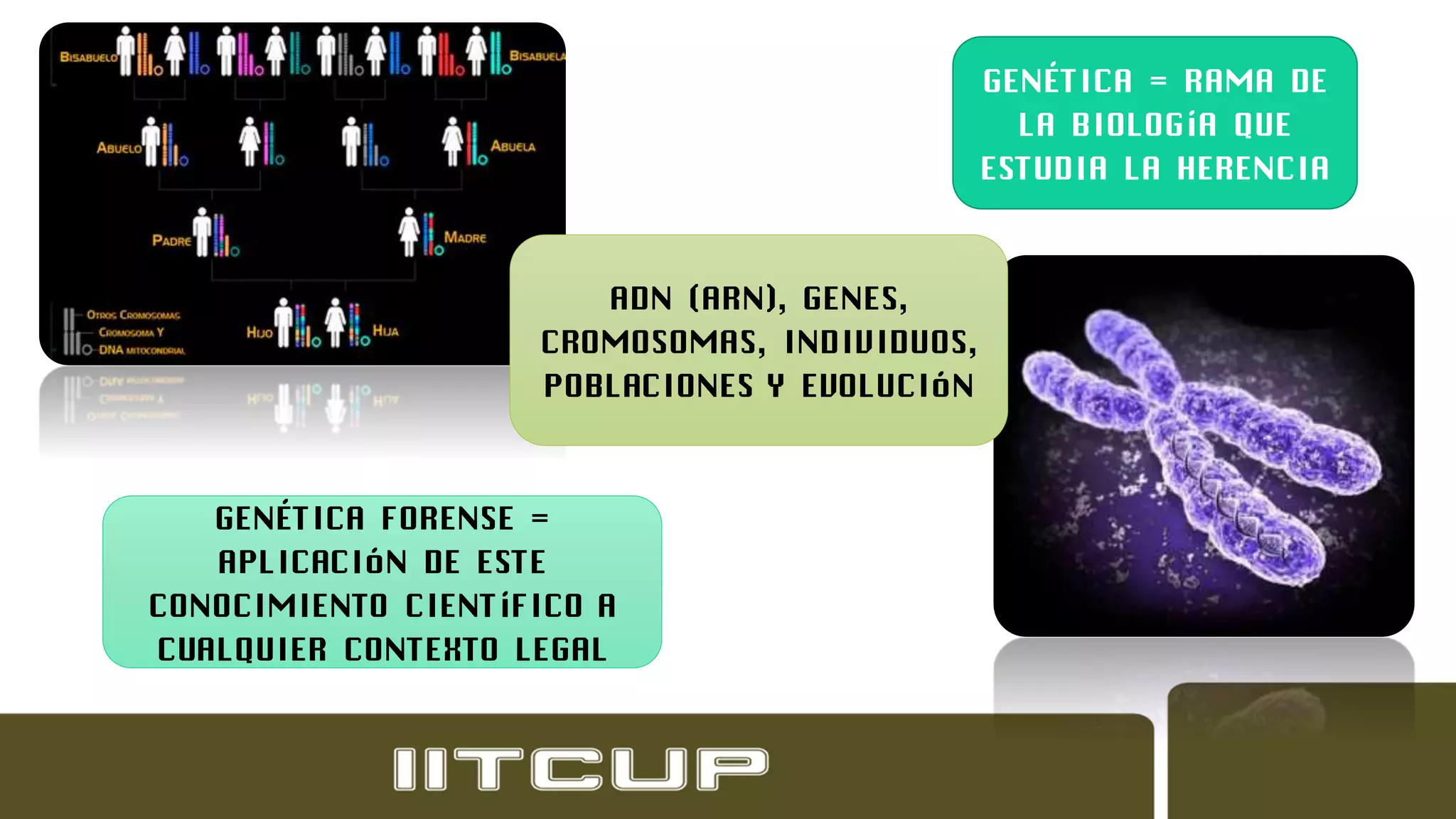 TEMA 1. BASES DE LA GENÉTICA FORENSE.pptx