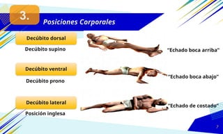 TEMA 1.- RECUENTO ANATOMICO PARA APRENDER BÁSICO | PPTX