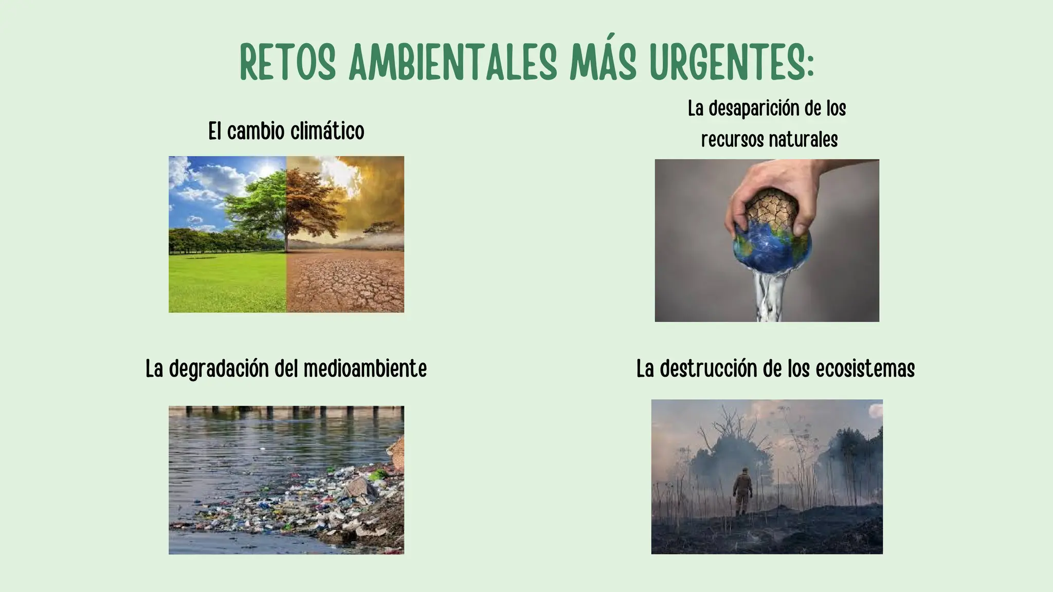 Los retos ambientales de la sostenibilidad | PDF