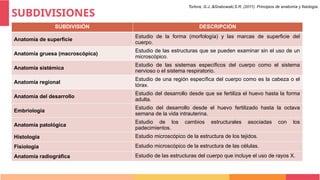 TEMA 1- DEFINICION ANATOMIA Y FISIOLOGIA - copia - copia.pptx