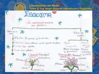 Conocimiento del Medio 6º de Primaria----Tema 1:Los seres vivos se ...
